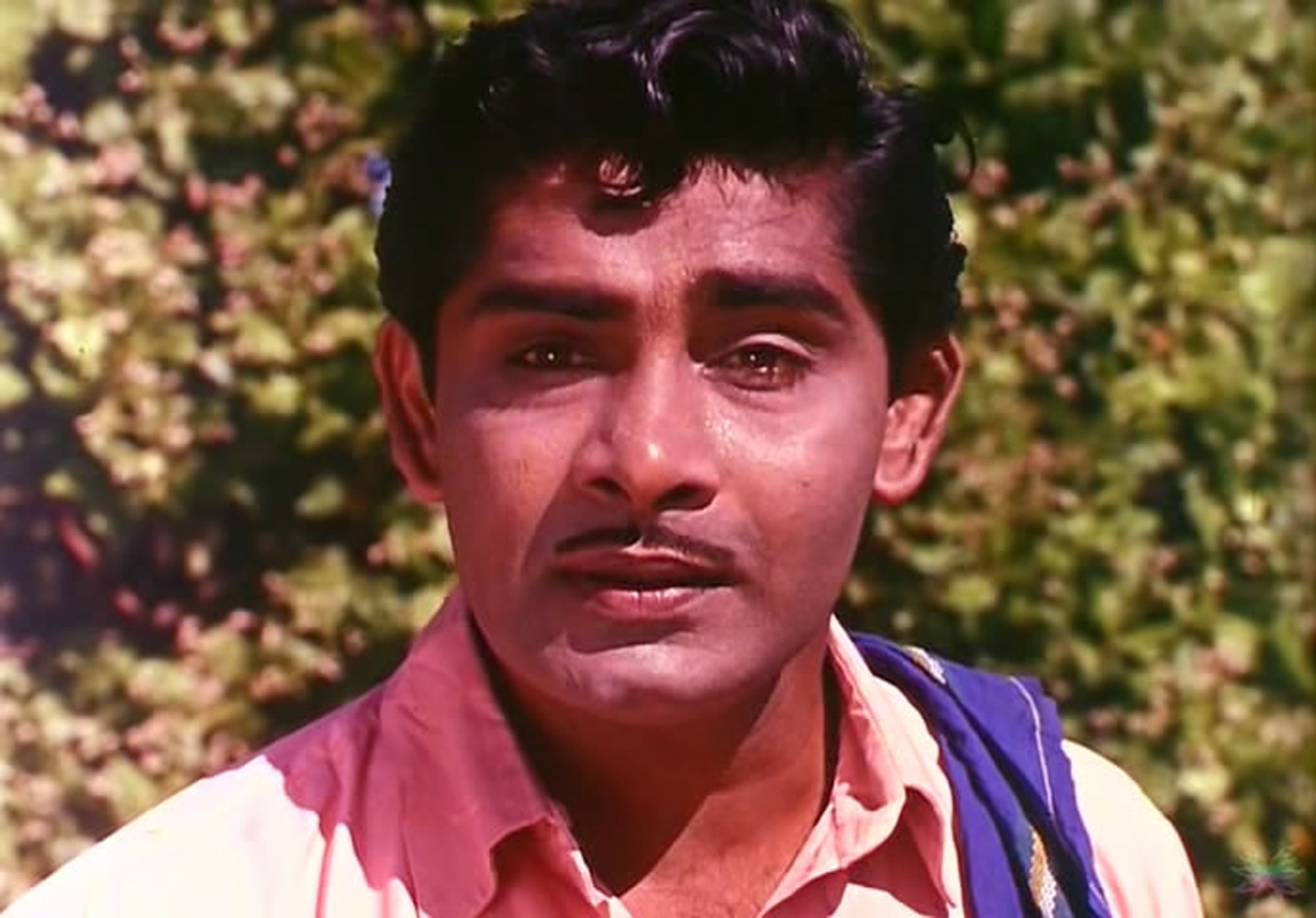 Chemmeen Movie Stills-Gallery-Photos-Madhu-Sathyan-Sheela-Onlookers ...